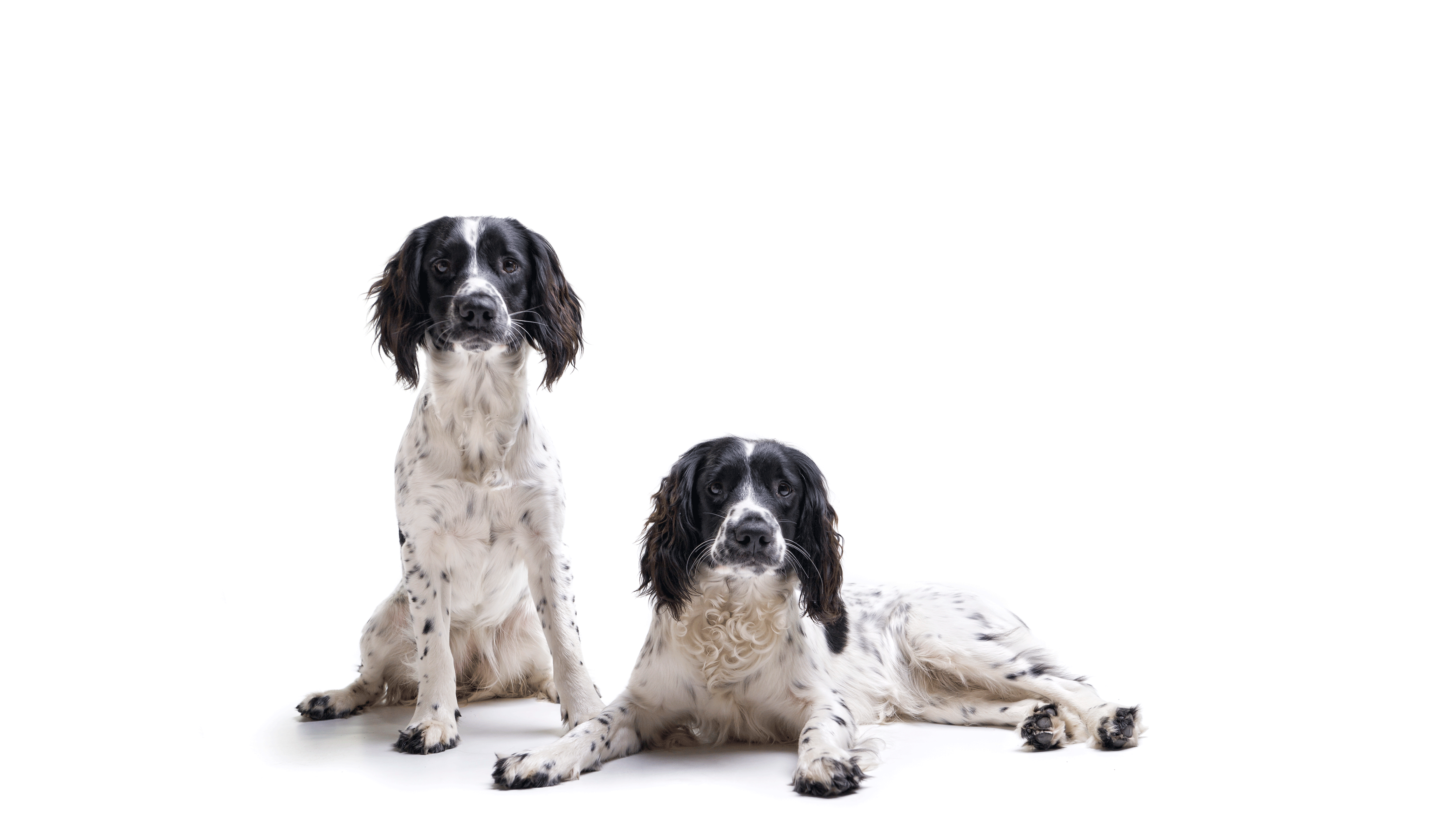 Take Advantage of Your Retirement Plan Matching Program